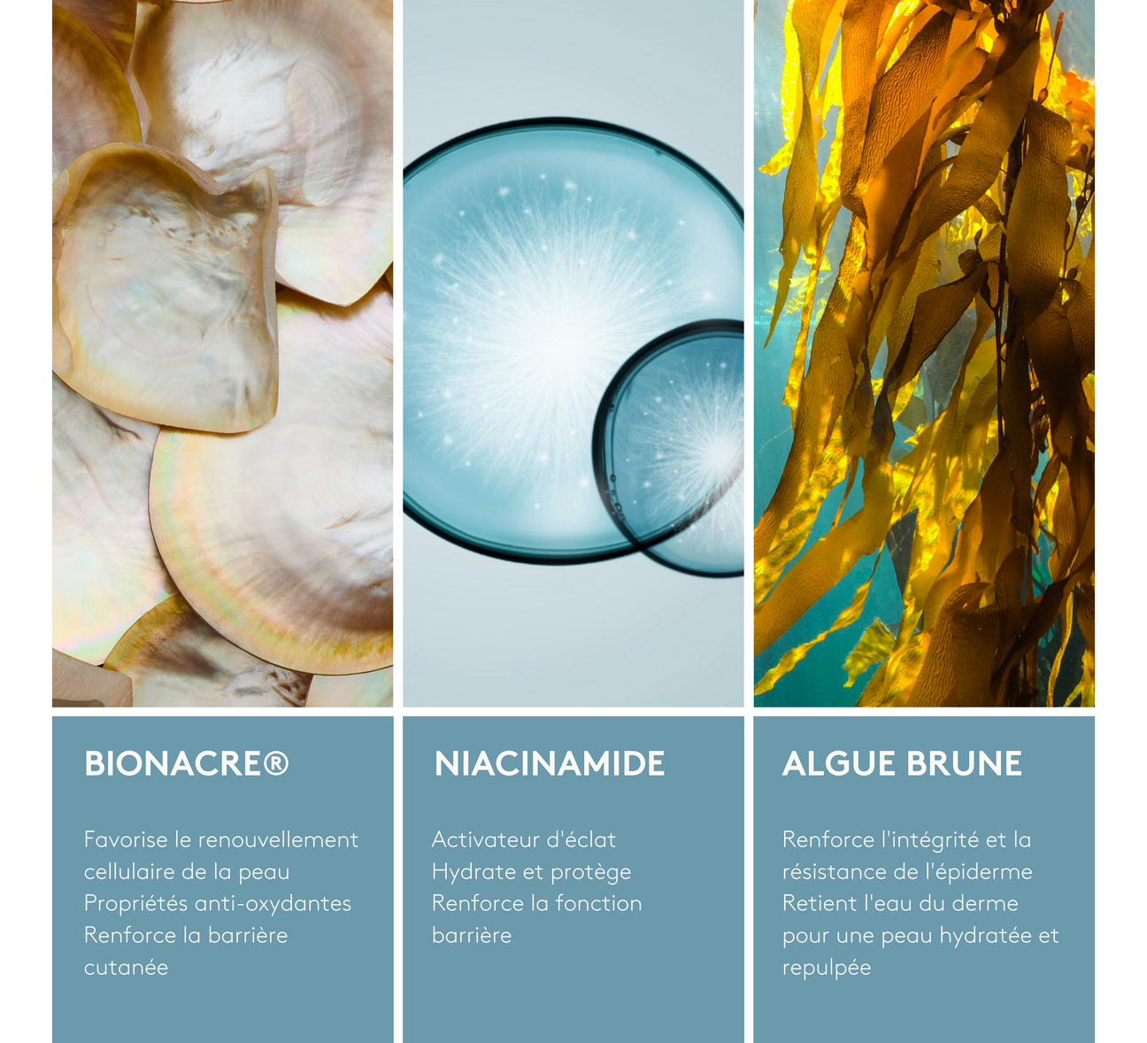 Crème Hydratante Régénérante – Blue Skincare